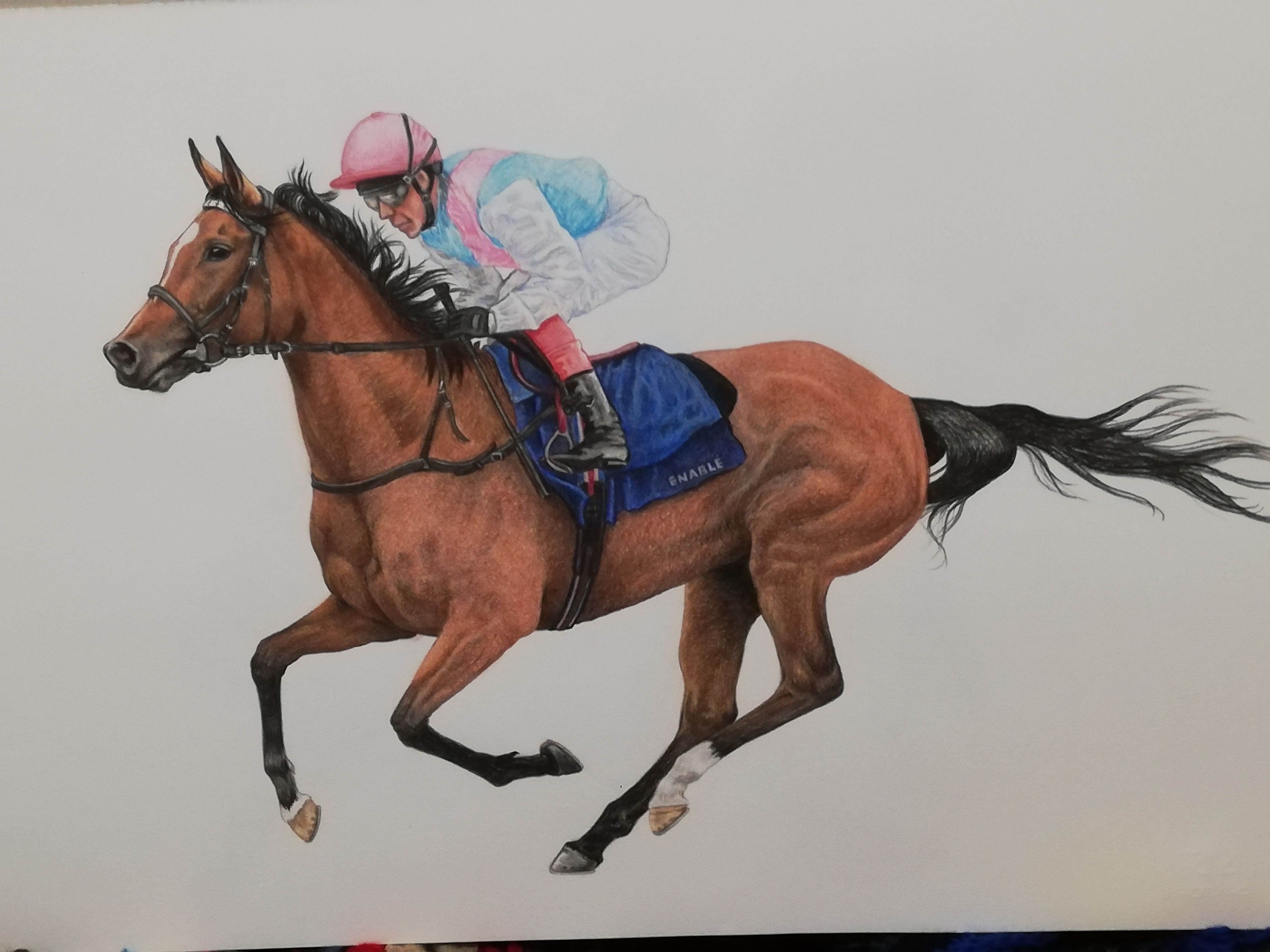 Coloured Pencil Drawings | Domestika